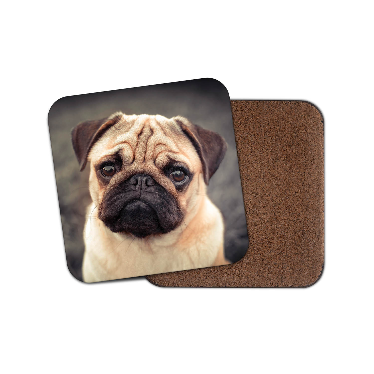 Beautiful Tan Pug Dog Drinks Coaster - Puppy Cute Puppies Mum Fun Gift ...