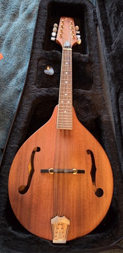 MORGAN MONROE MANDOLIN Model # MAM200 With Case. | eBay
