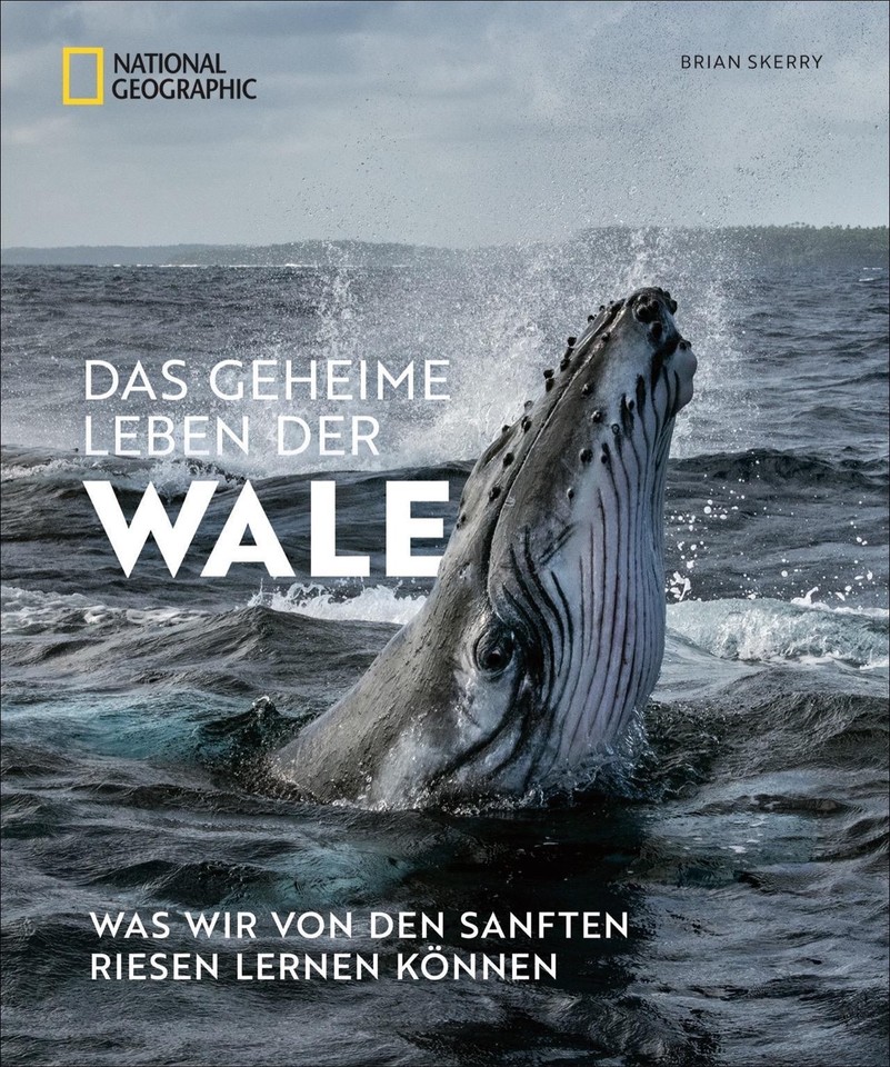 Das geheime Leben der Wale Brian Skerry 9783866907621| eBay
