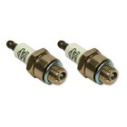 Briggs and Stratton OEM 796112S-PK2 - SPARK PLUG BRIGGS AND STRATTON ...