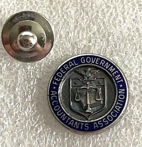 U.S Federal Government Accountant Association Sterling Silver Lapel Pin ...