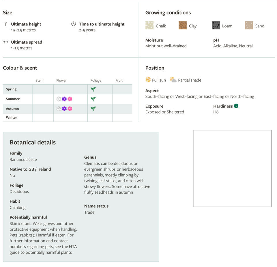 Clematis 'Tsukiko' Vigorous Climber 2L Approx 60-80cm Tall White & Pale ...