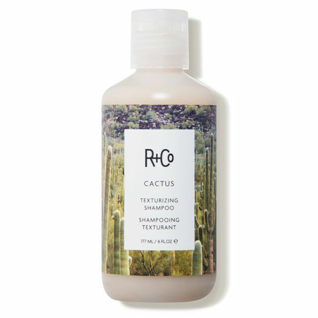 R+Co CACTUS Texturizing Shampoo - 6oz for sale online | eBay