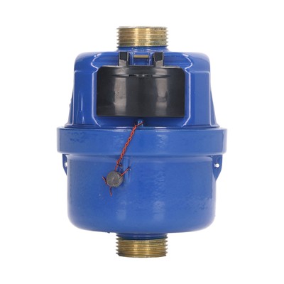 Gas & Water Meters - Model 25 Water Meter