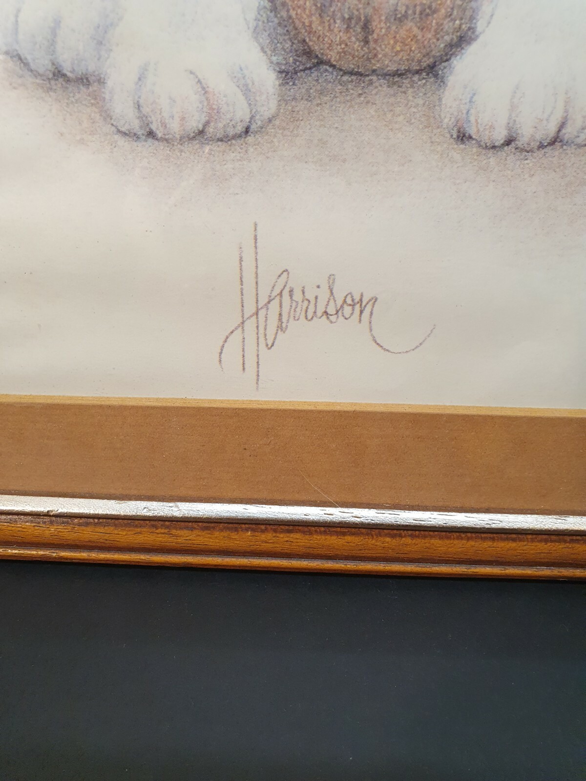 Vintage Bob Harrison Framed Print; Amazing Puppies; Frame size 34 x 44 ...
