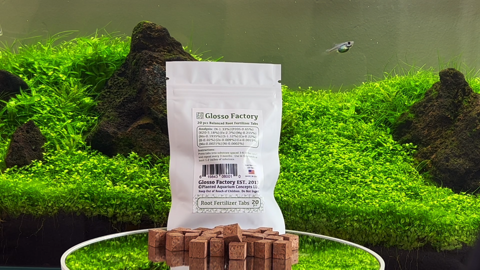 20x Substrate Fertilizer Tabs Glosso Factory Planted Aquarium Root ...