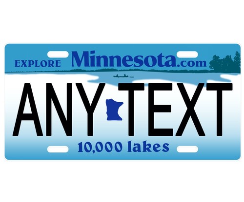 Custom, Personalized, Standard Size Novelty State License Plate ...