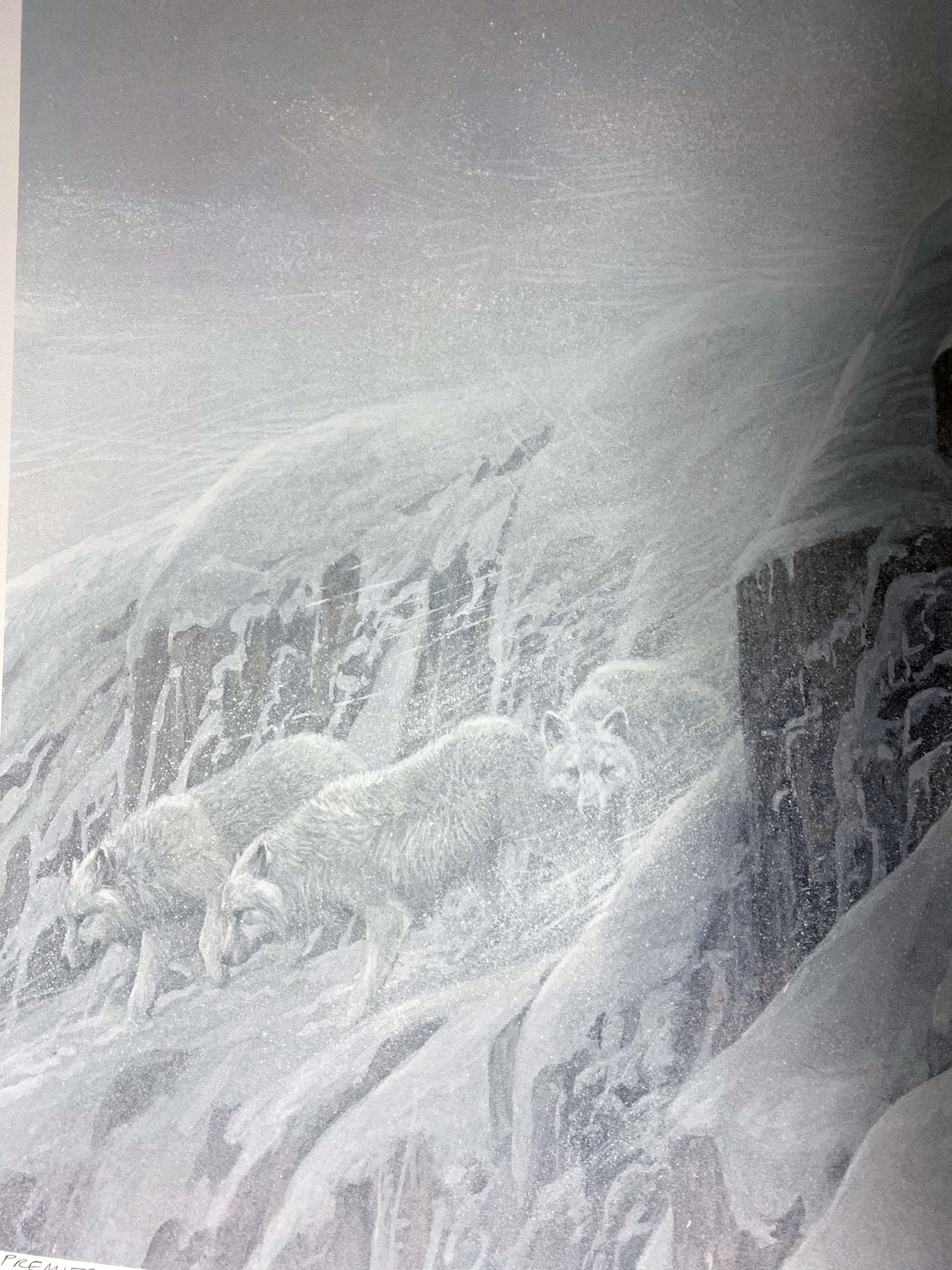 Robert Bateman Lithograph ARCTIC CLIFF- WHITE WOLVES Premier Edition ...