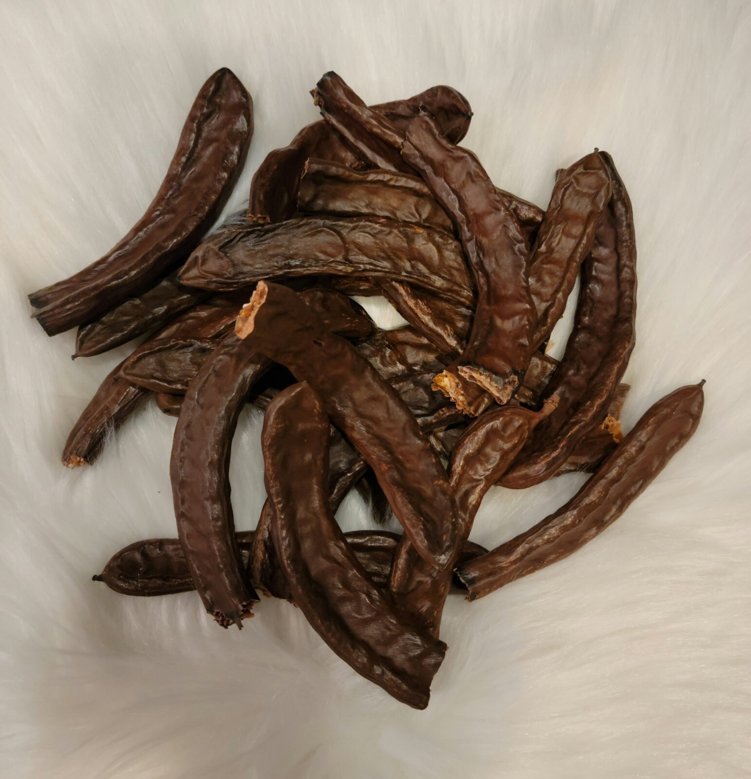 Dried Broken Carob Pods Ceratonia siliqua, Vegan Sweet, St. John's ...