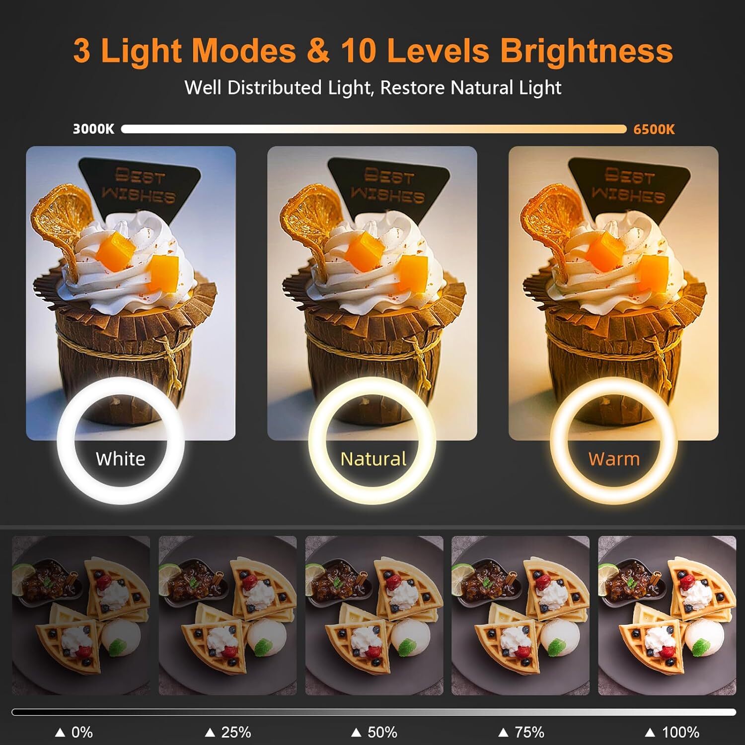 Ring Light with Stand & Phone Holder Video Streaming Selfie LED ...