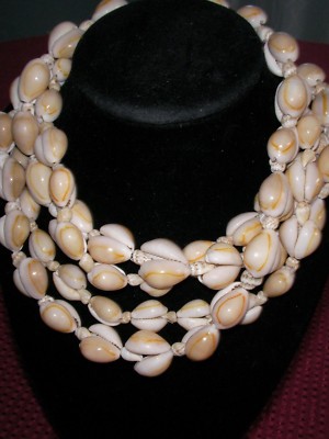 2 Puca Puka sm. conch Cowrie Sea Shell Seashell Necklaces Hawaii CA ...