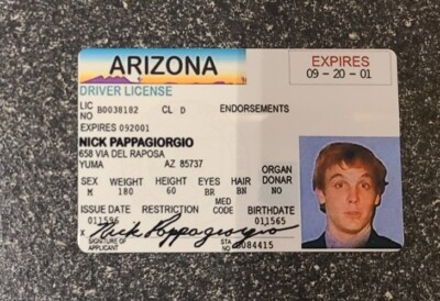 Nick Pappagiorgio Vegas Vacation Novelty ID License MADE ON METAL ...