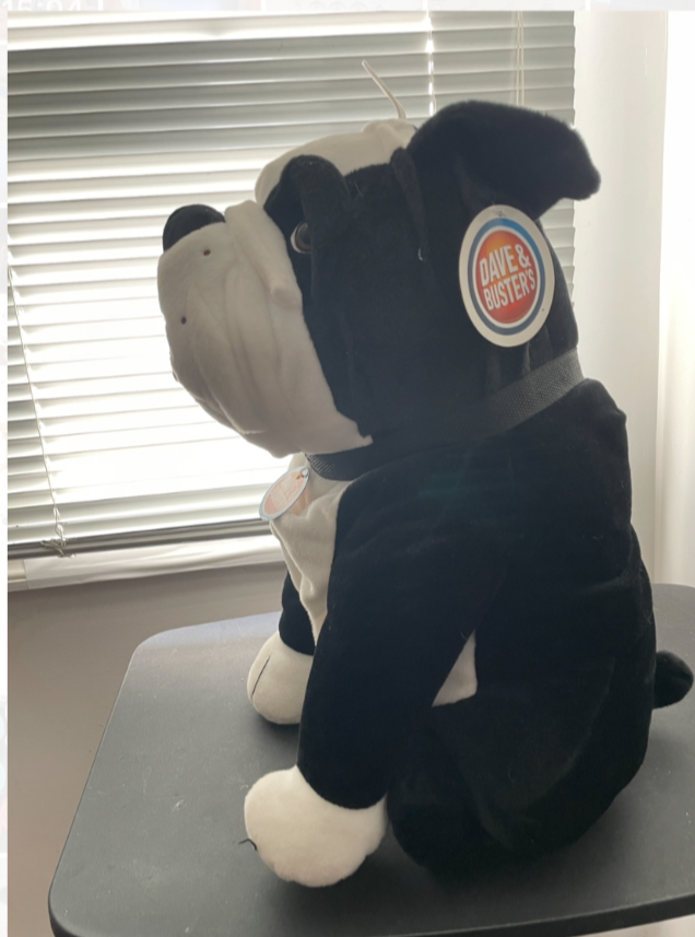 New realistic Dave & Buster Bulldog Boston Terrier Plush Stuffed Toy ...