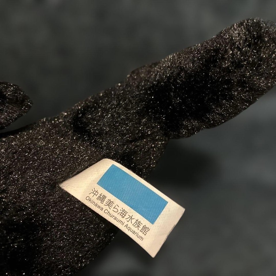 Okinawa Churaumi Aquarium Fluffy False Killer Doll S Plush Toy | eBay