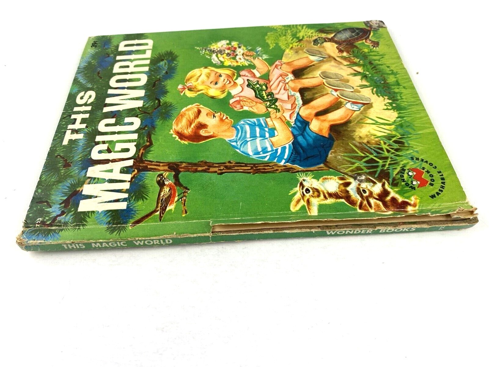 This Magic World Cynthia Koehler Wonder Books Vintage Childrens Book ...