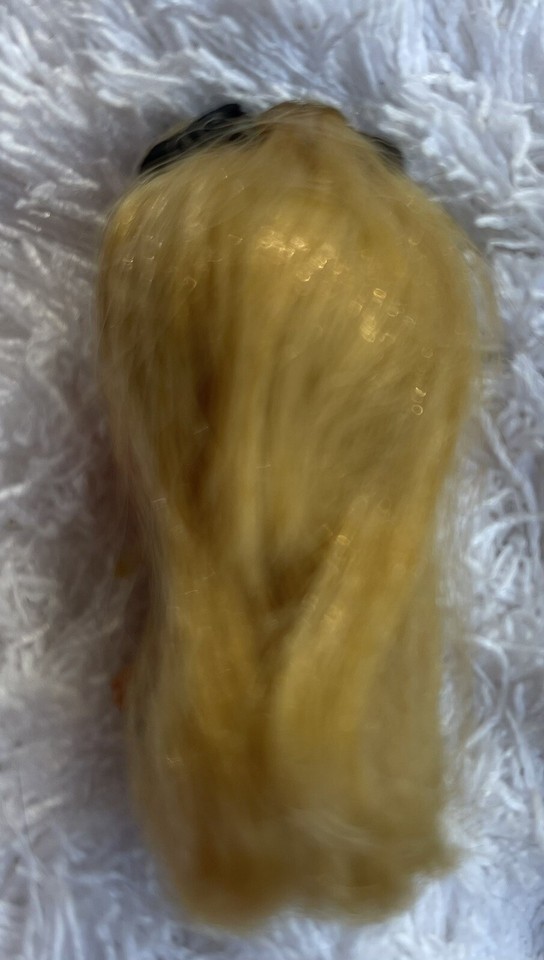 Vintage Liddle Kiddles Lucky Locket Louise Doll | eBay