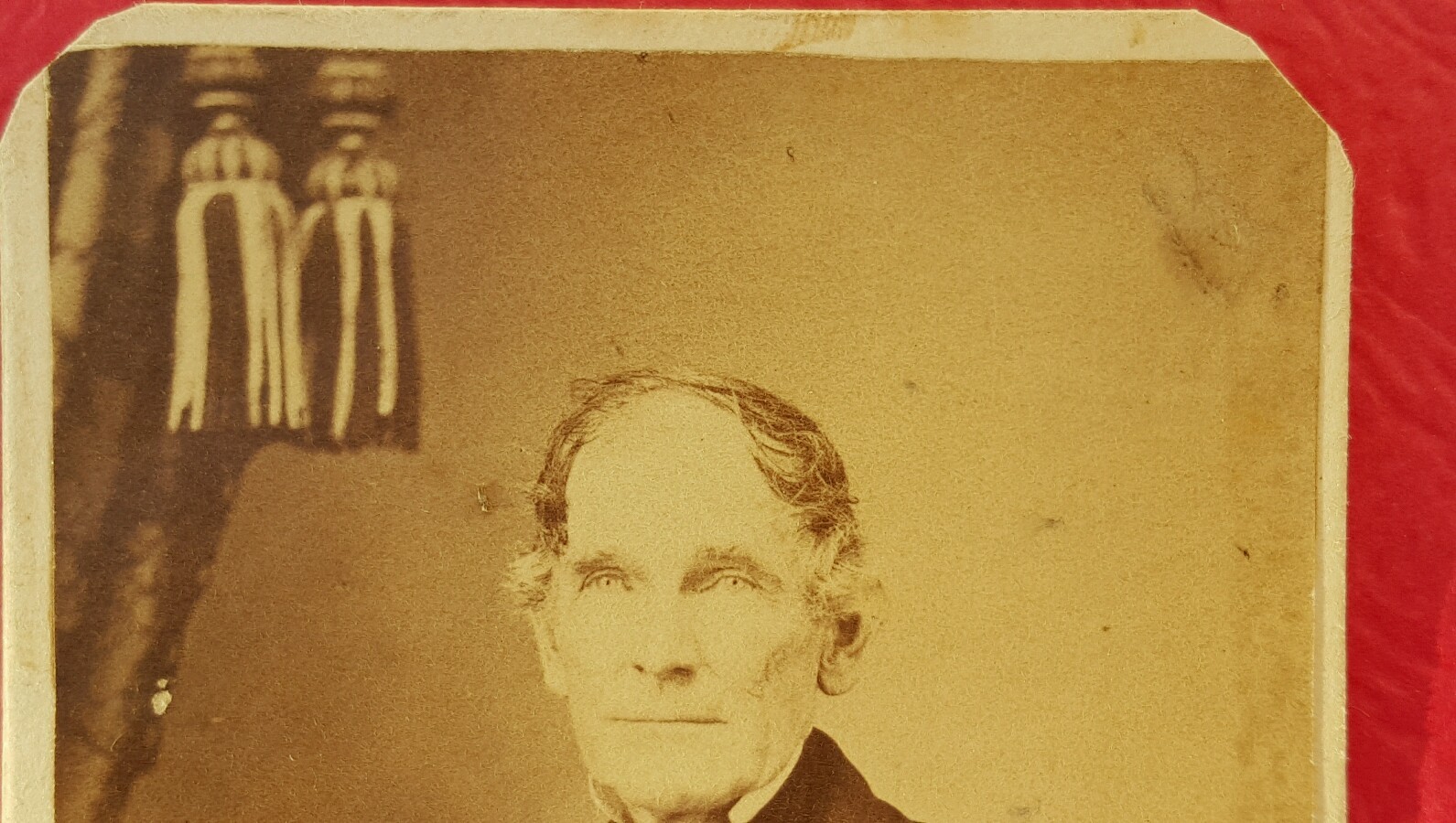 CDV Trenton NJ James Starr Lippincott Horticulturist Author Antique ...