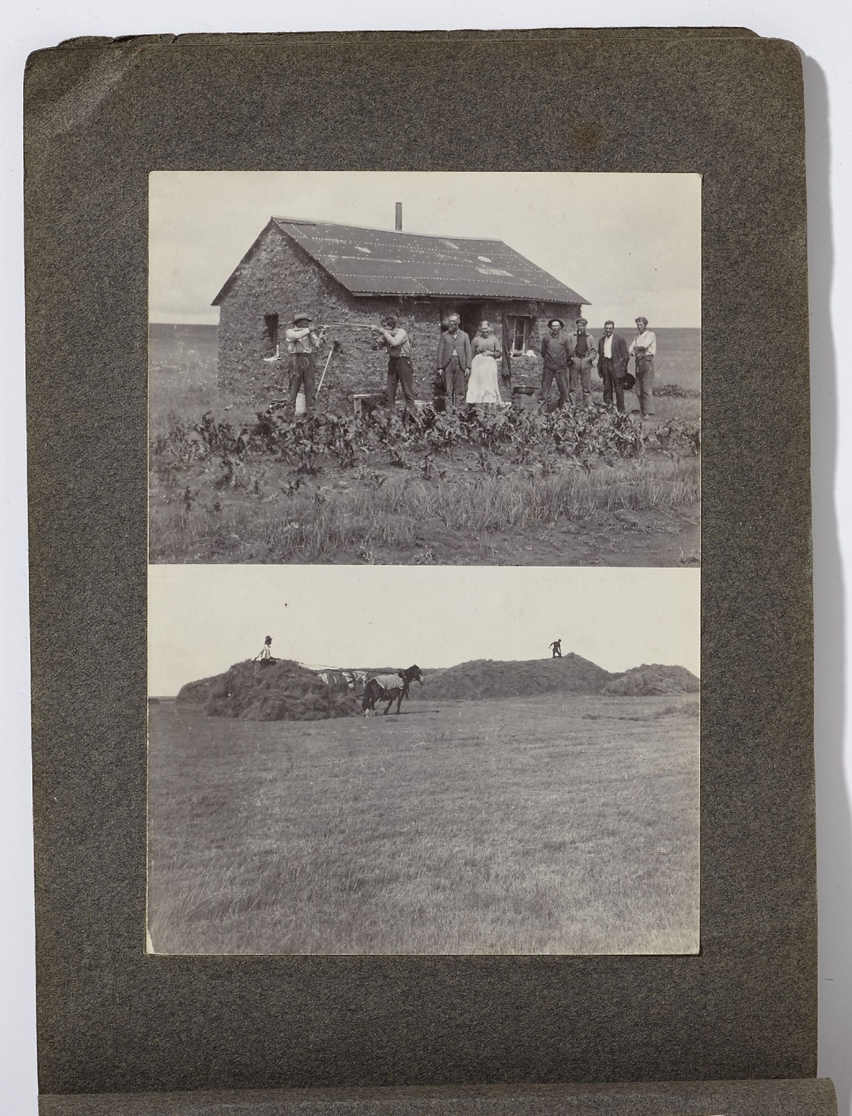 Photo Album Wyoming / 1900 | eBay