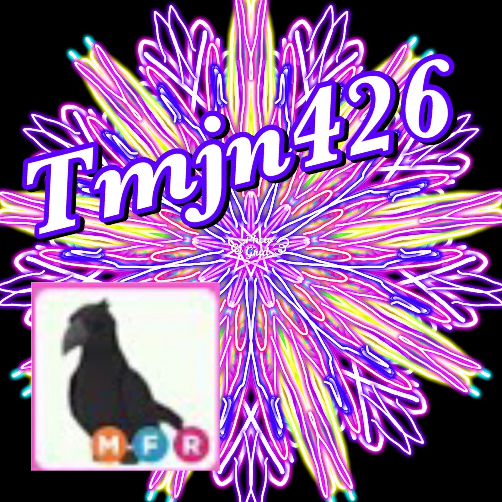 Adopt MEGA Crow -MFR- Fly/Ride READ DESCRIPTION | eBay