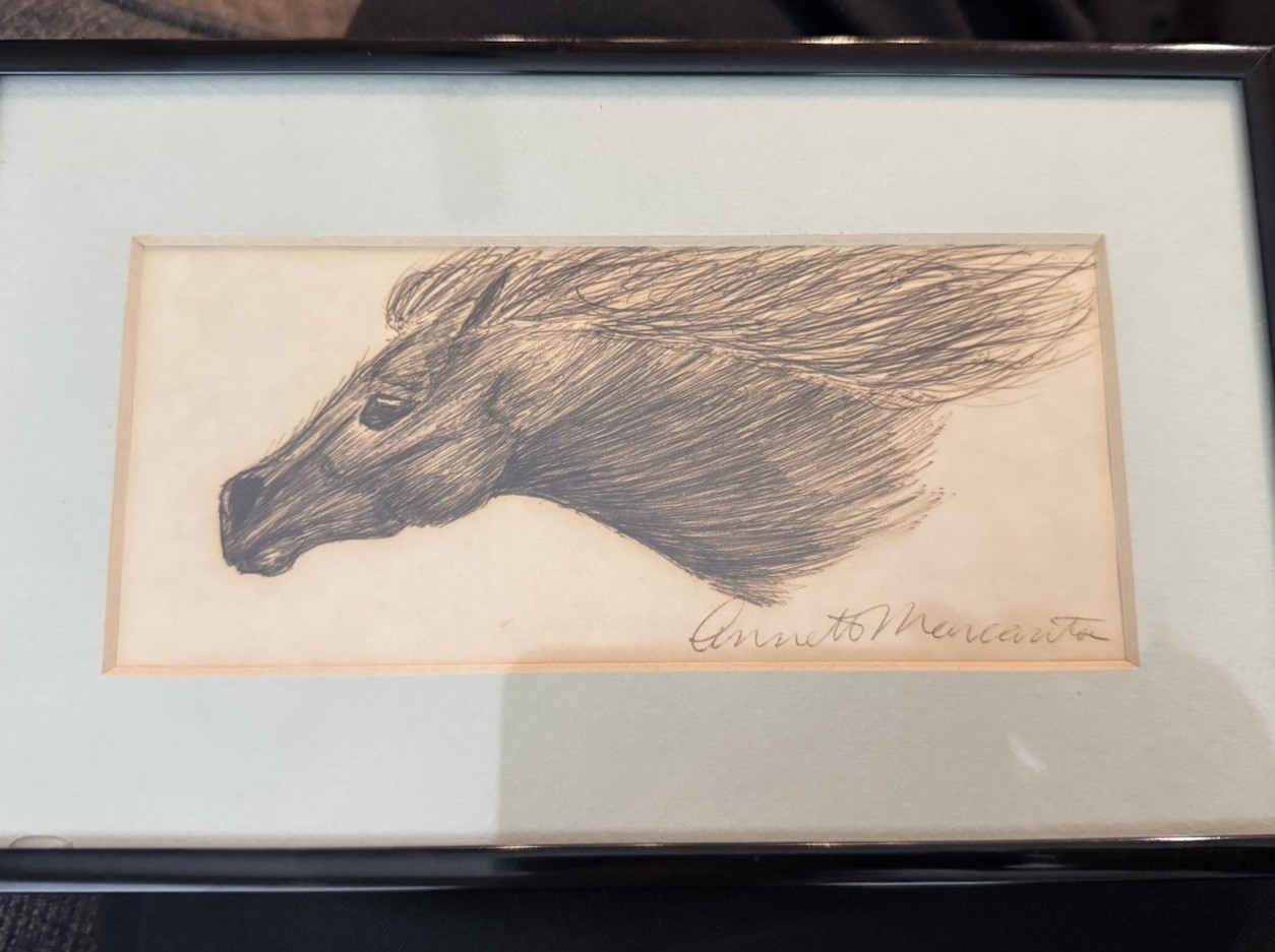 Horse Ink Drawing Signed Annett Mancarto – Framed 9.5x6” Equestrian Art ...