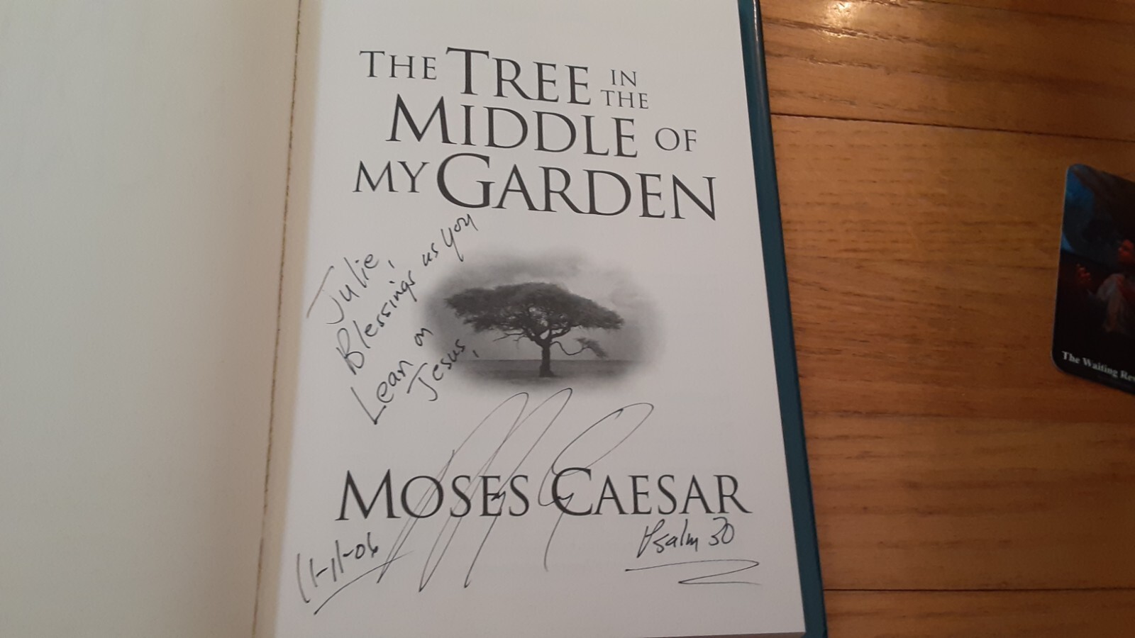 Moses Caesar SIGNED The Tree In The Middle Of My Garden 2004 HB ...