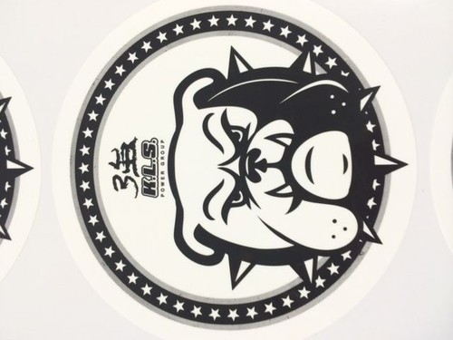 KLS POWER GROUP /KLS STRONG water proof car/window sticker new 9X9 CM ...