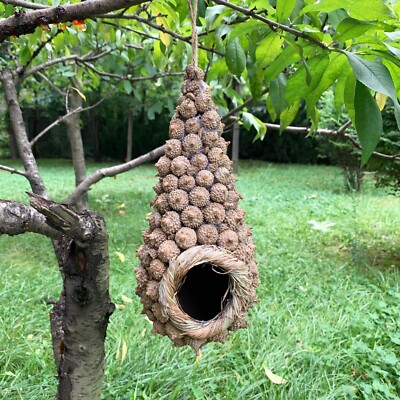 100% Handmade Acorn Shell Bird House, Creative Pet Bird Houses | eBay ...