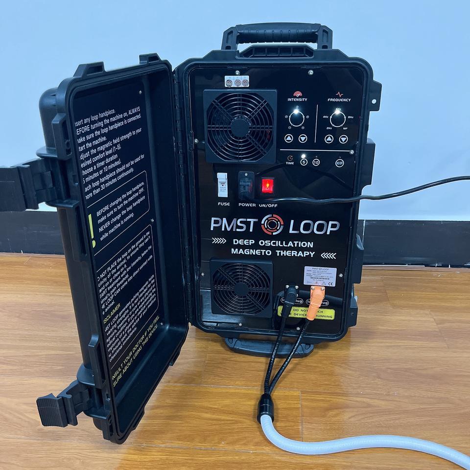 Horses PEMF Pulse Electromagnetic Therapy PMST Machine Double Loop F ...