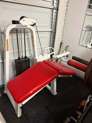 Classic Icarian gym equipment Pec/rear fly and matching prone hamstring ...
