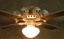 Skeleton Ceiling Fan w/ Skulls, Halloween Prop, Human Skeletons | eBay
