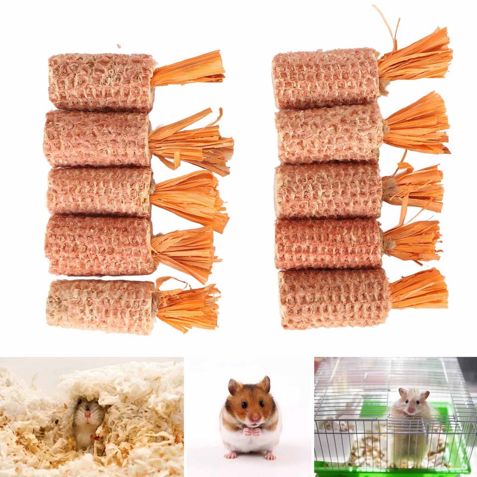 Orange (Small10Pcs Hamster Corn Cob Toy Carrot Shaped Teeth Grinding ...