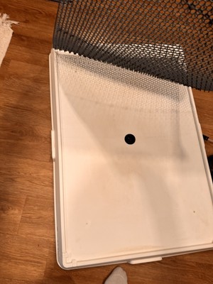 weasy smart potty Size Large | eBay