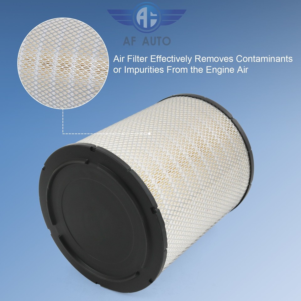 2X Air Filter RS3518 For Freightliner Century Columbia Coronado ...