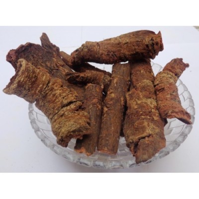 Neem bark, Azadirachta indica, Indian Lilac, nimba bark FREE SHIPPING ...