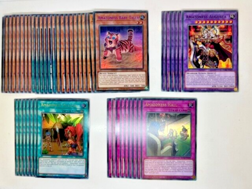 Yu-Gi-Oh Competitive Deluxe Amazoness Deck + Extra Deck *Ready to ...