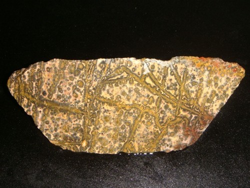 OLD LEOPARDSKIN JASPER CUT SPECIMEN MEXICO 2 POUNDS | eBay