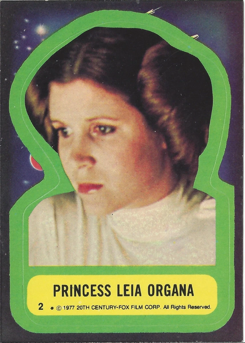 Princess Leia Outline