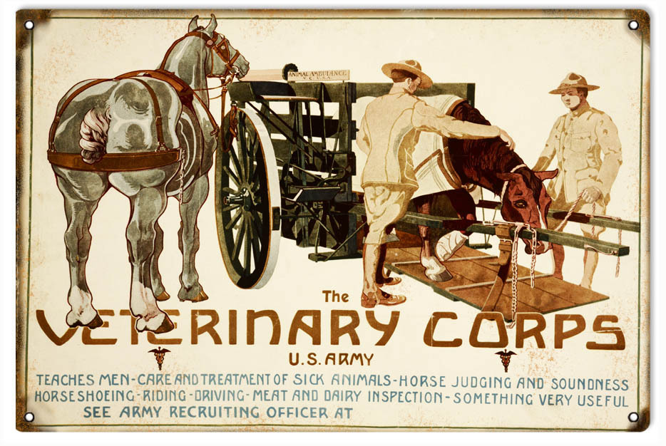 US Army Veterinary Corps Military Nostalgic Sign | eBay