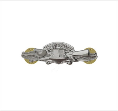 GENUINE U.S. NAVY BADGE: EXPEDITIONARY WARFARE SPECIALIST - MINIATURE ...