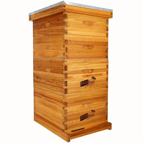Maybee 8-Frame Langstroth Beehive Dipped in 100% Beeswax, Complete Bee ...