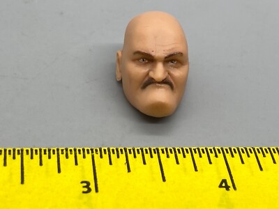 Sgt Slaughter head GI Joe 6" Action Force Classified Valaverse 1/12 WWE ...