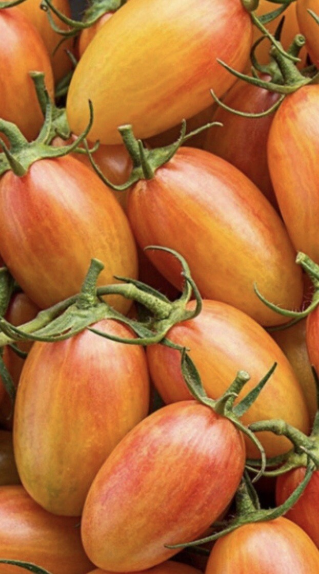 Blush Tiger Tomato Seeds Heirloom NJ USA see My Store For Largest ...