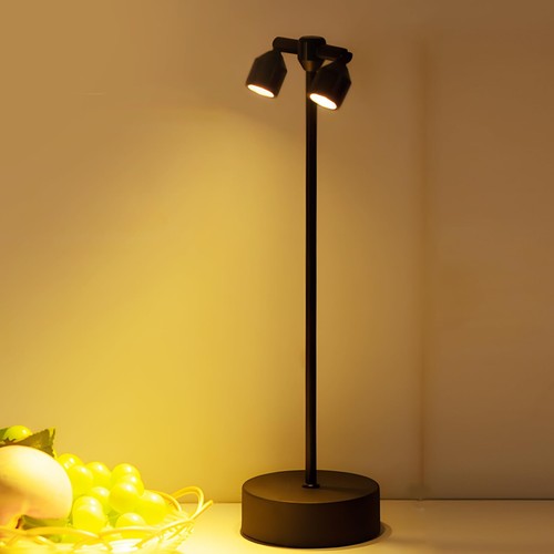 Cordless Table Lamp 360 Adjustable Spotlights Desk Lamps Touch Control ...