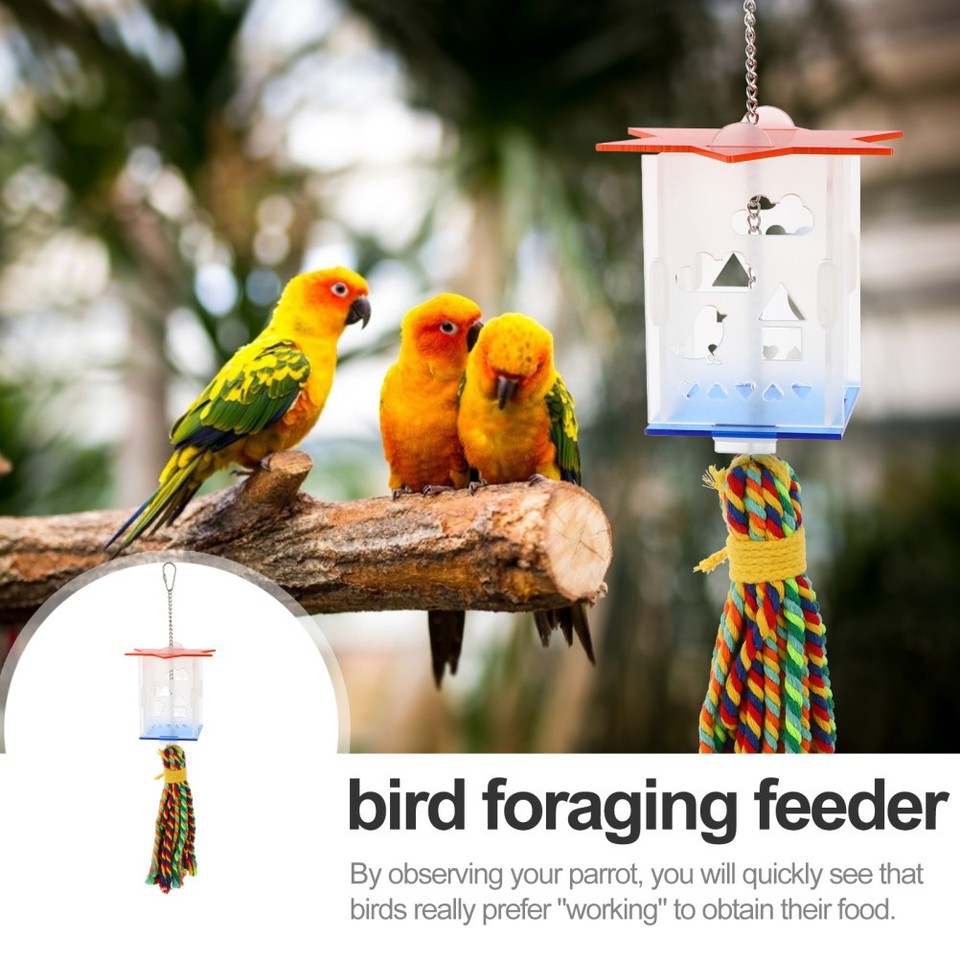 Bird Foraging Feeder with Swing Toy for Parrots Anchovies Parakeets ...
