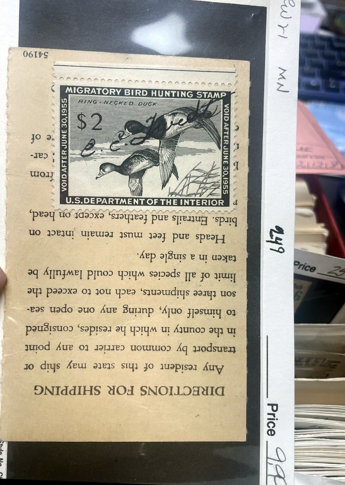 Duck Stamp Licenses — BIG box full!! | eBay