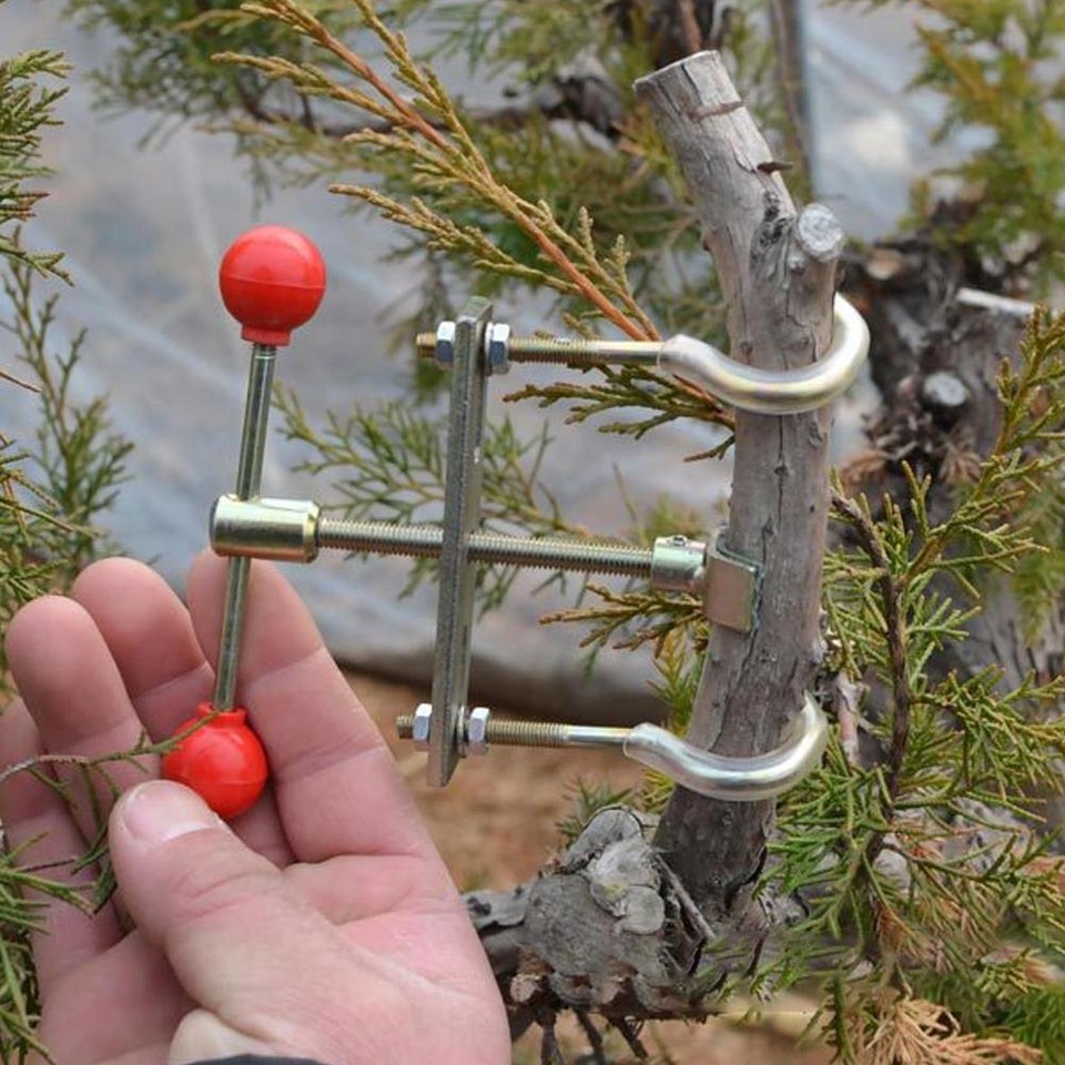 Bonsai Tree Branch Bender Moderator Pruning Set Tree Bending Tools Home ...