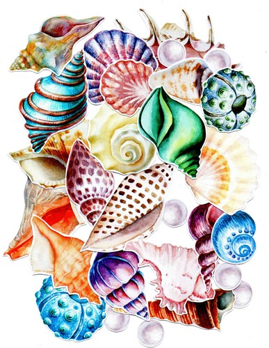 Seashells Multi-Piece Cut Outs Cardstock Pack | eBay