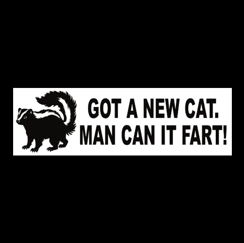 Funny "GOT A NEW CAT. MAN CAN IT FART" skunk decal BUMPER STICKER cute ...