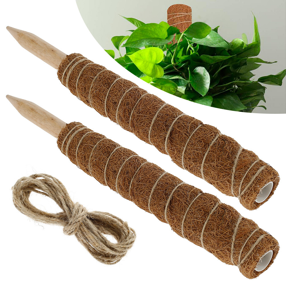 2X 40cm Long Wooden Moss Pole Stick Wooden Plant Support Moss Climbing ...