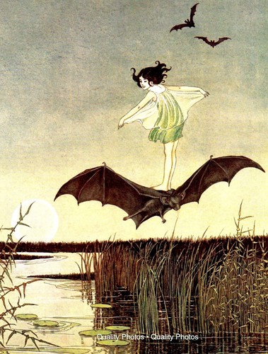 Fairy Riding Bat Over Pond 8.5x11" Photo Print Ida Rentoul Outhwaite ...